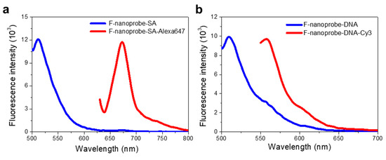 Detection of Ampicillin-Resistant E. coli Using Novel Nanoprobe ...