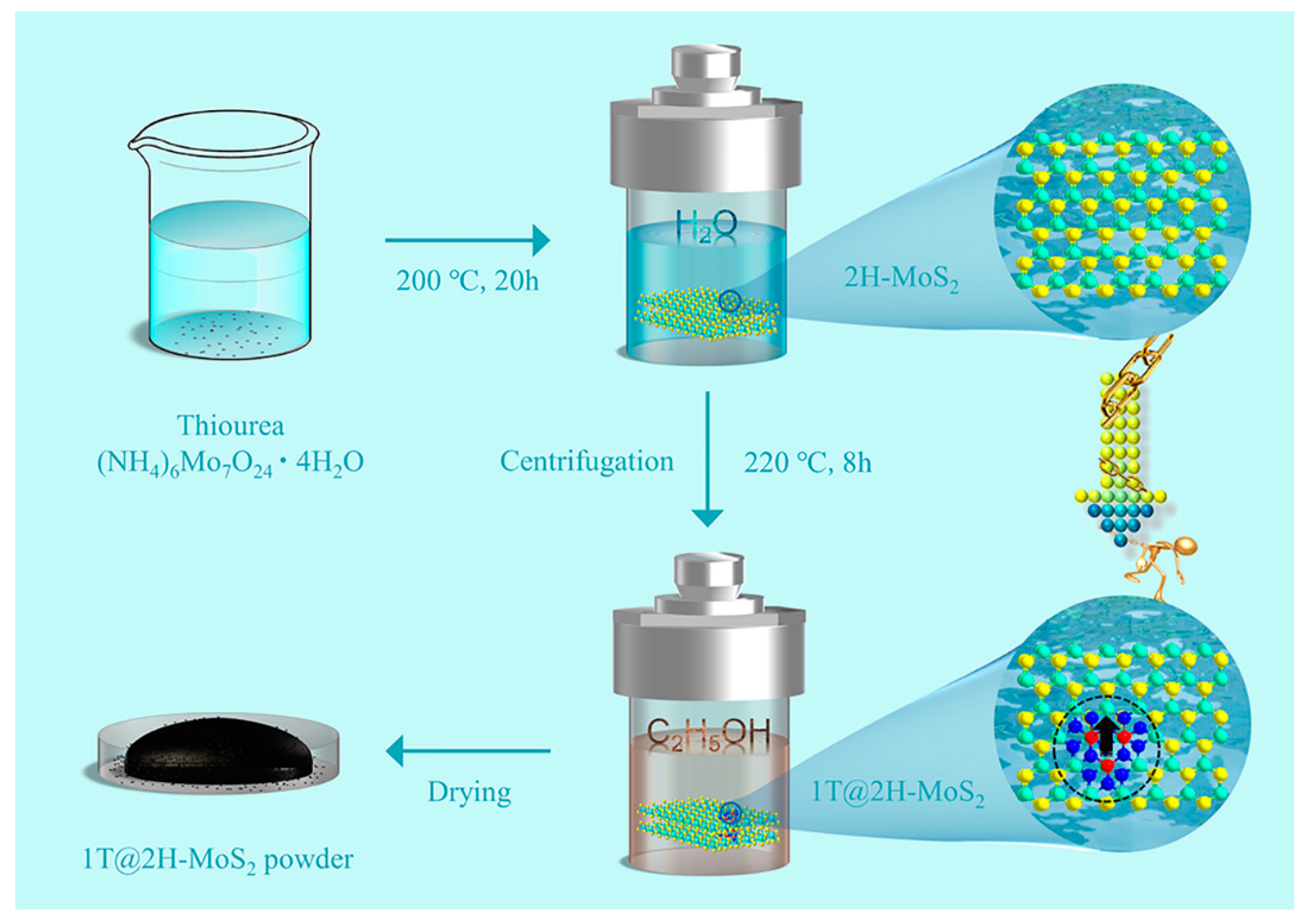 Nanomaterials Free Full Text Mos2 Coexisting In 1t And 2h Phases