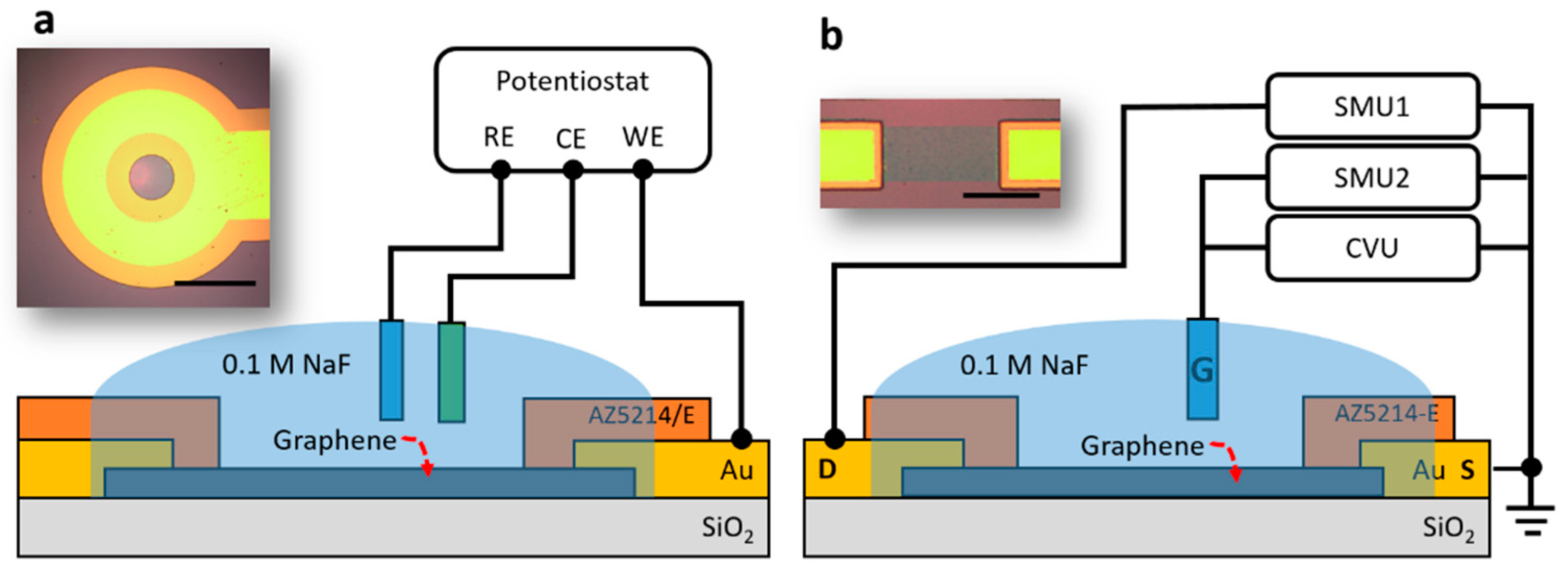 Unique Constant Phase Element Behavior of the Electrolyte–Graphene ...