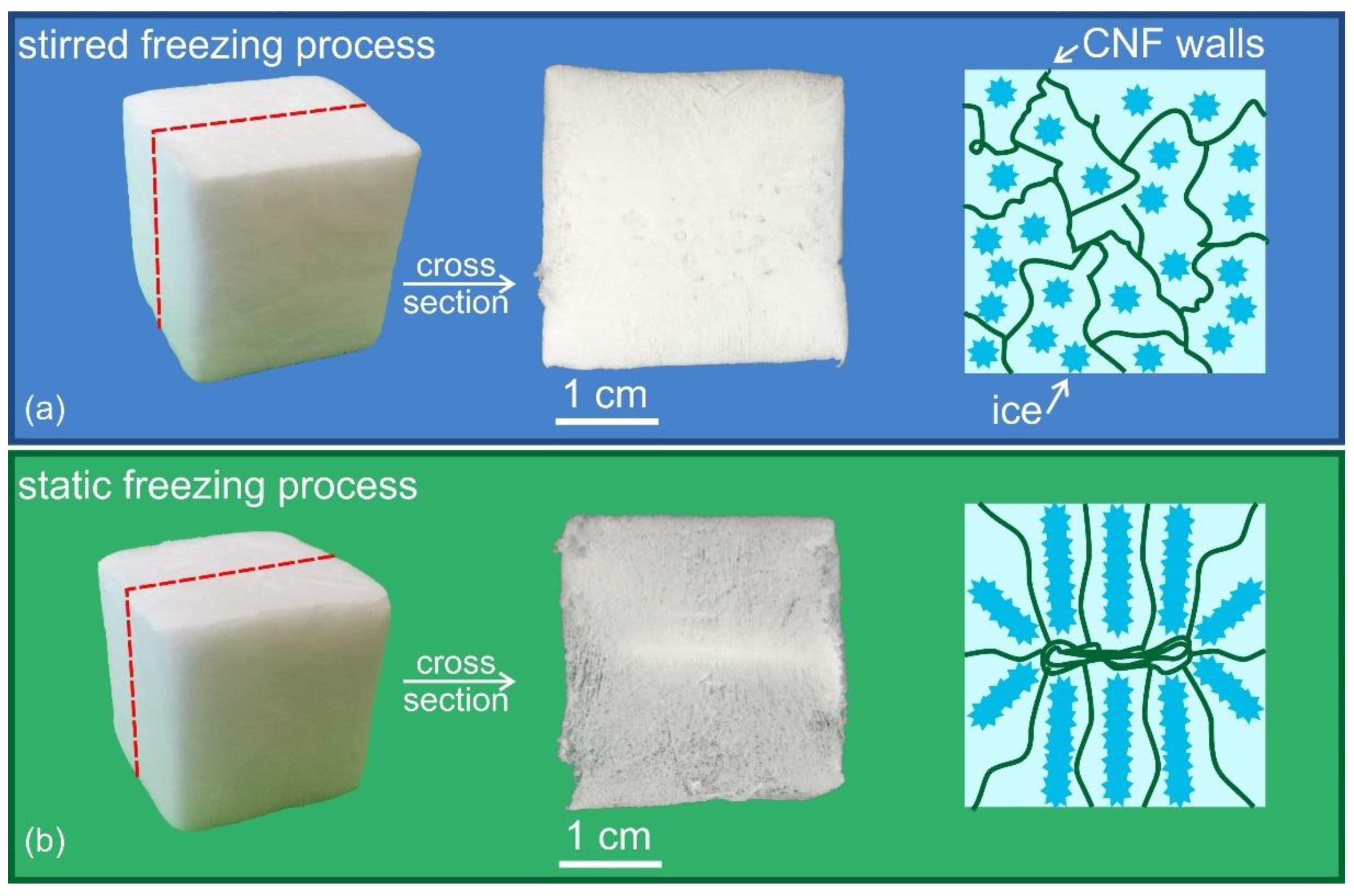 Ultra-Porous Nanocellulose Foams: A Facile and Scalable Fabrication Approach