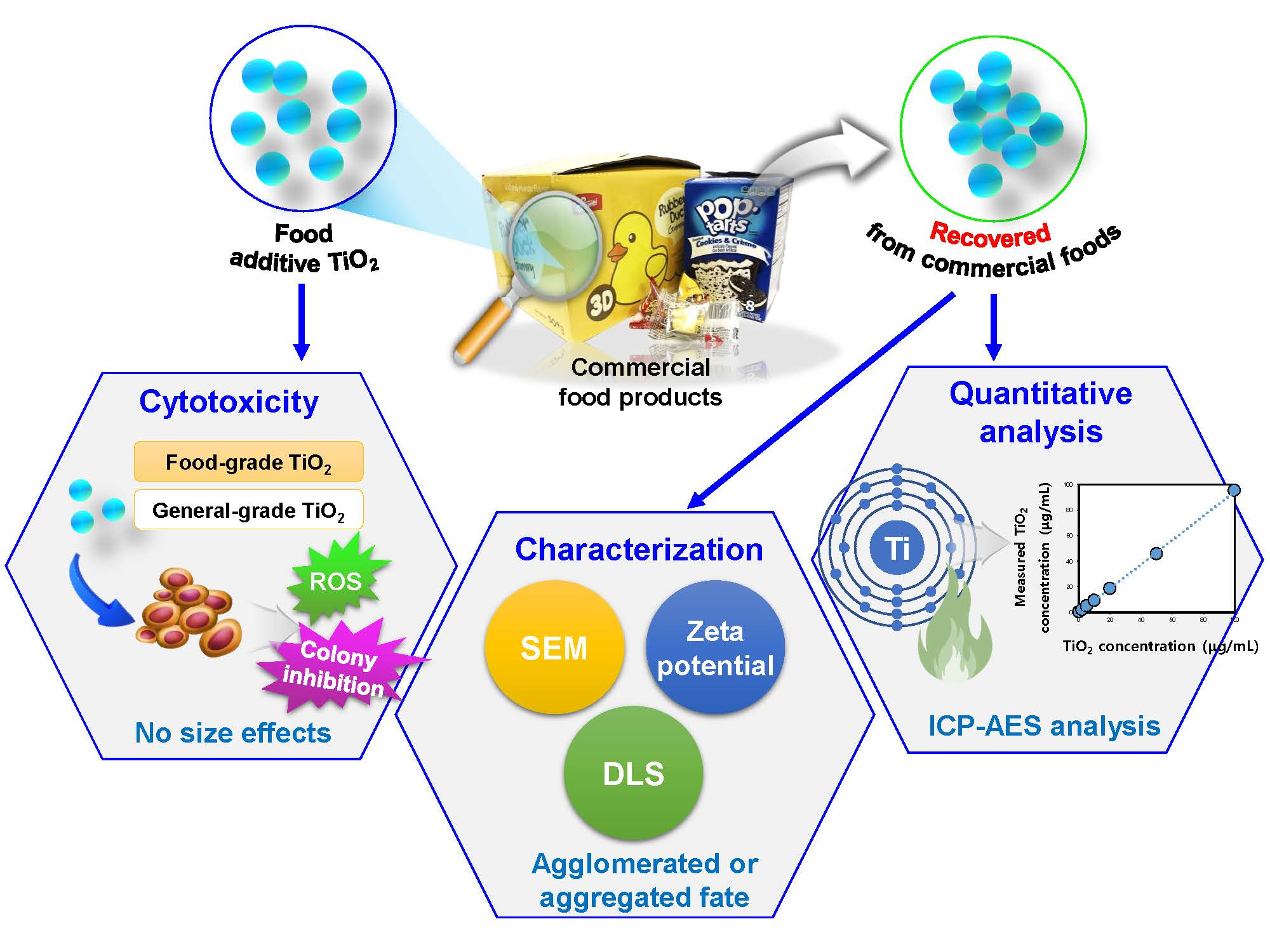 Nanomaterials | Free Full-Text | Food Additive Titanium Dioxide and Its ...