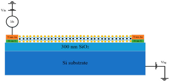 Probing the Field-Effect Transistor with Monolayer MoS2 Prepared by APCVD