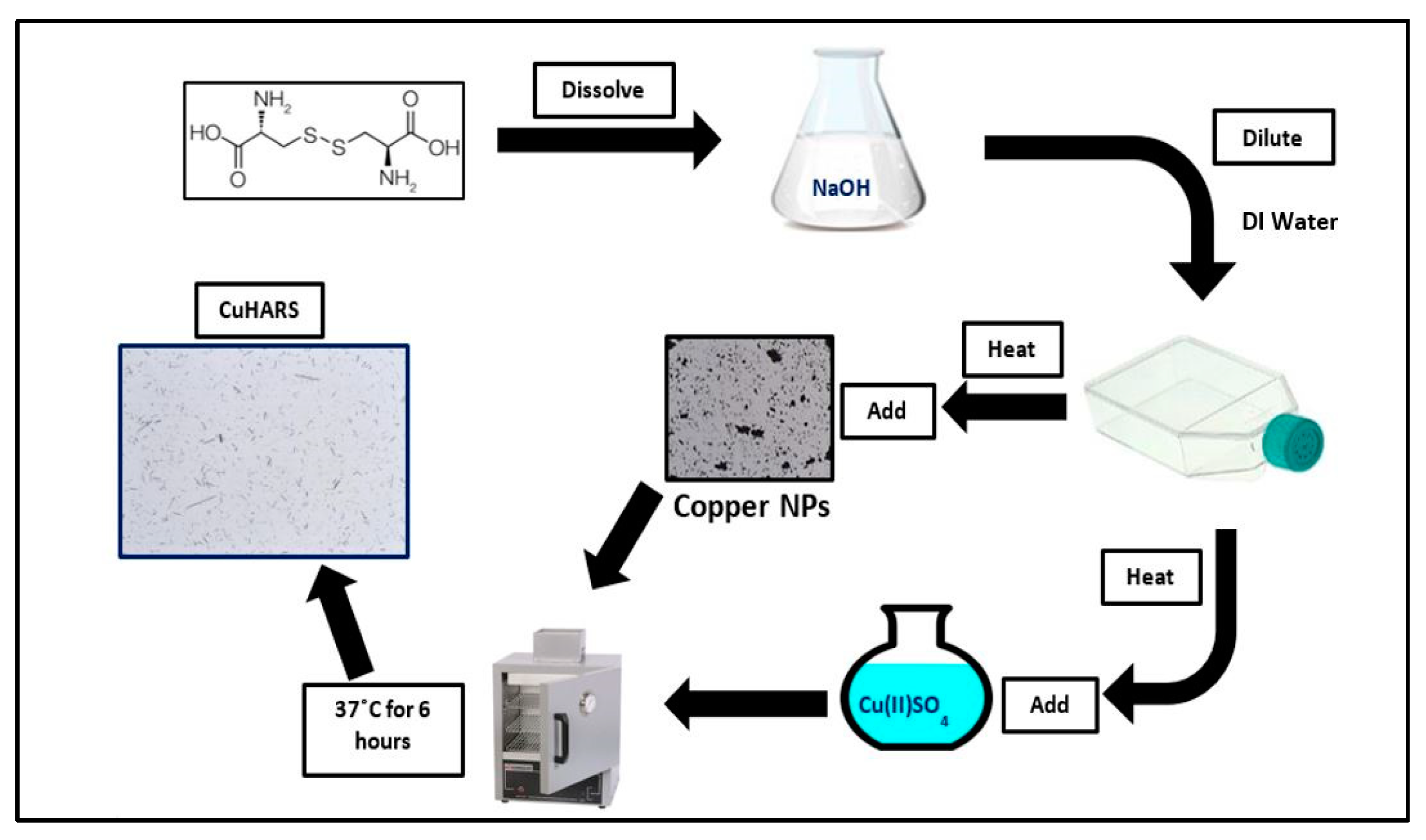 Self-Assembled Metal–Organic Biohybrids (MOBs) Using Copper and Silver ...