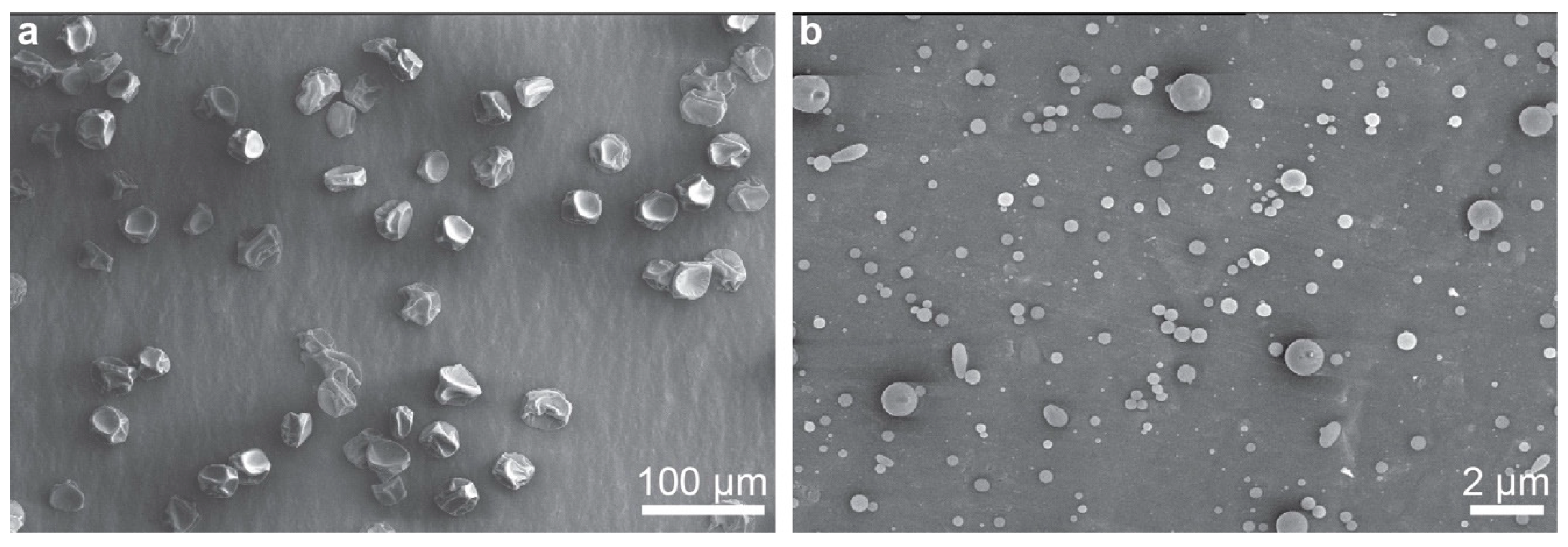 A Portable Electrospinner for Nanofiber Synthesis and Its Application ...