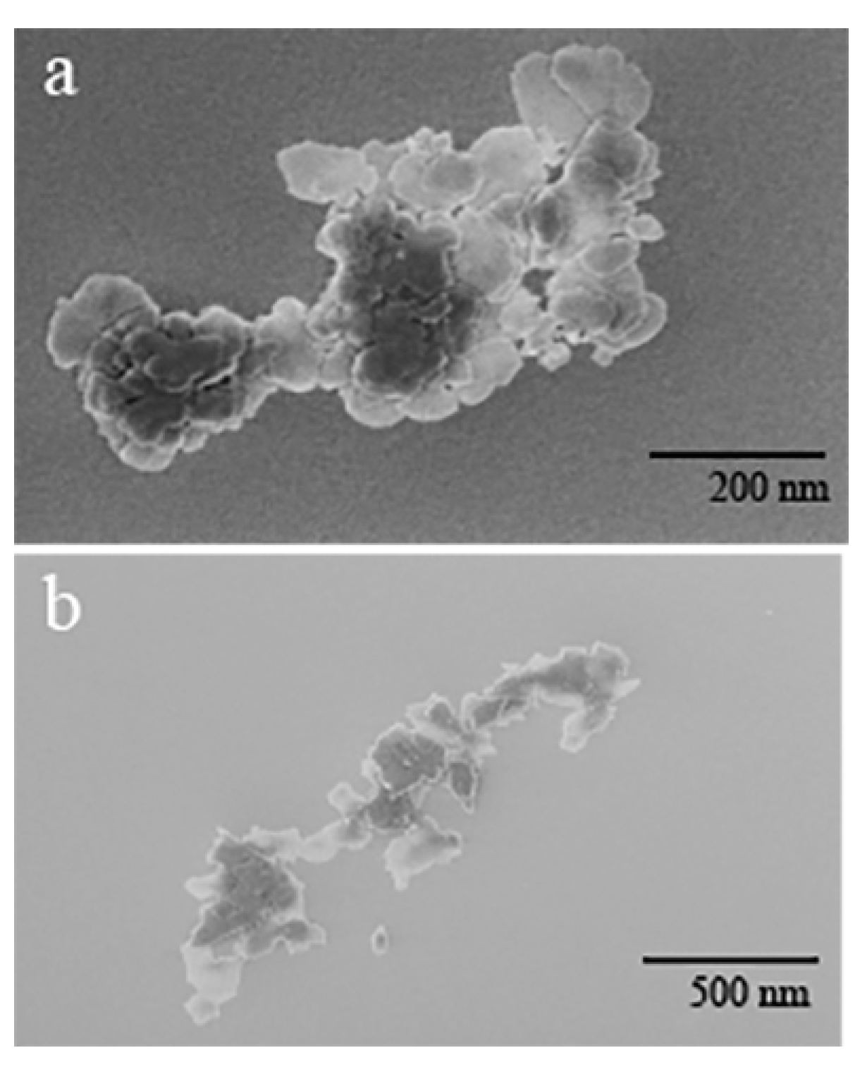 Biocompatible and Biodegradable Magnesium Oxide Nanoparticles with In ...