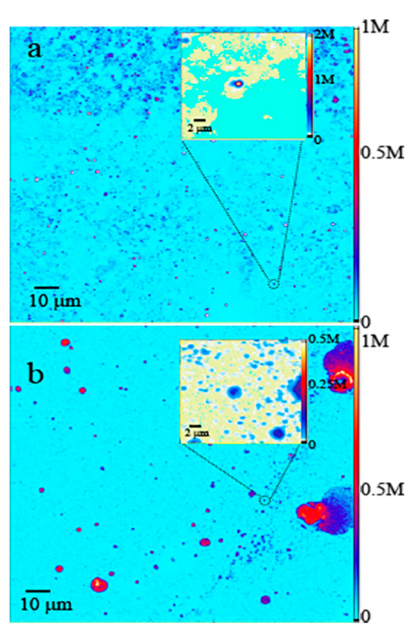 Biocompatible and Biodegradable Magnesium Oxide Nanoparticles with In ...