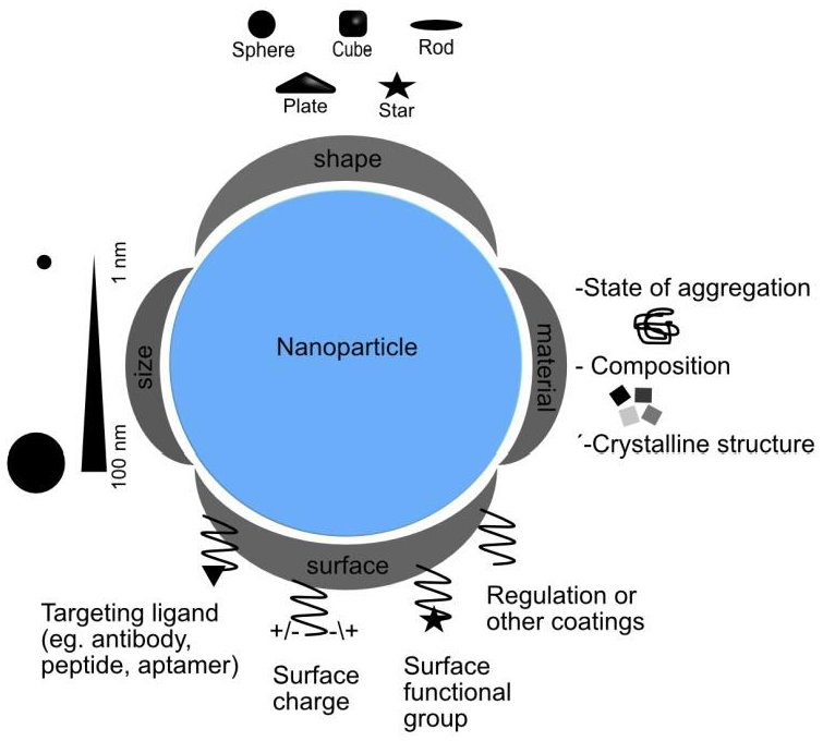 Nanomaterials | Free Full-Text | Interactions of Nanoparticles and ...