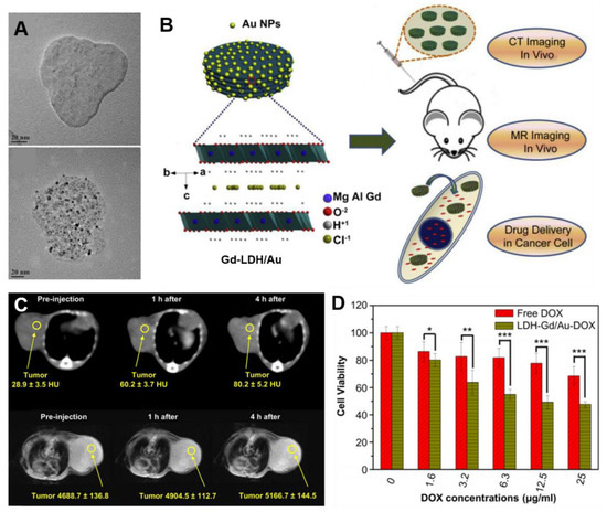 Functional Layered Double Hydroxide Nanohybrids for Biomedical Imaging