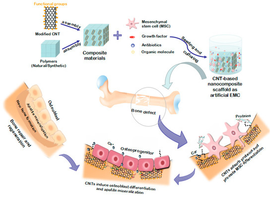 Nanomaterials | Free Full-Text | Applications of Carbon Nanotubes in ...