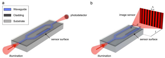 Label-Free MicroRNA Optical Biosensors