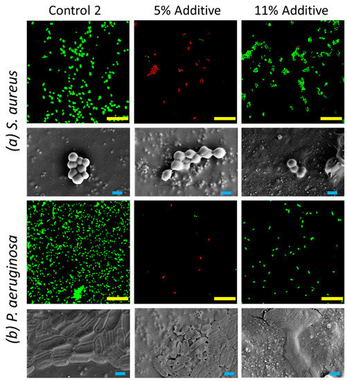 Nanomaterials | Special Issue : Antibacterial Nanomaterials Coating ...