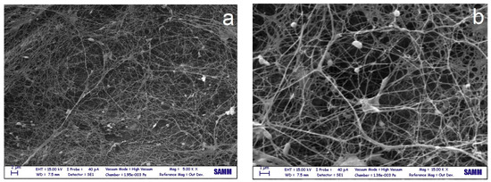 Bacterial Nanocellulose and Its Surface Modification by Glycidyl ...