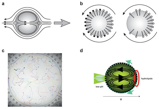 Nanomaterials | Special Issue : Advances in Micro/Nanomotors