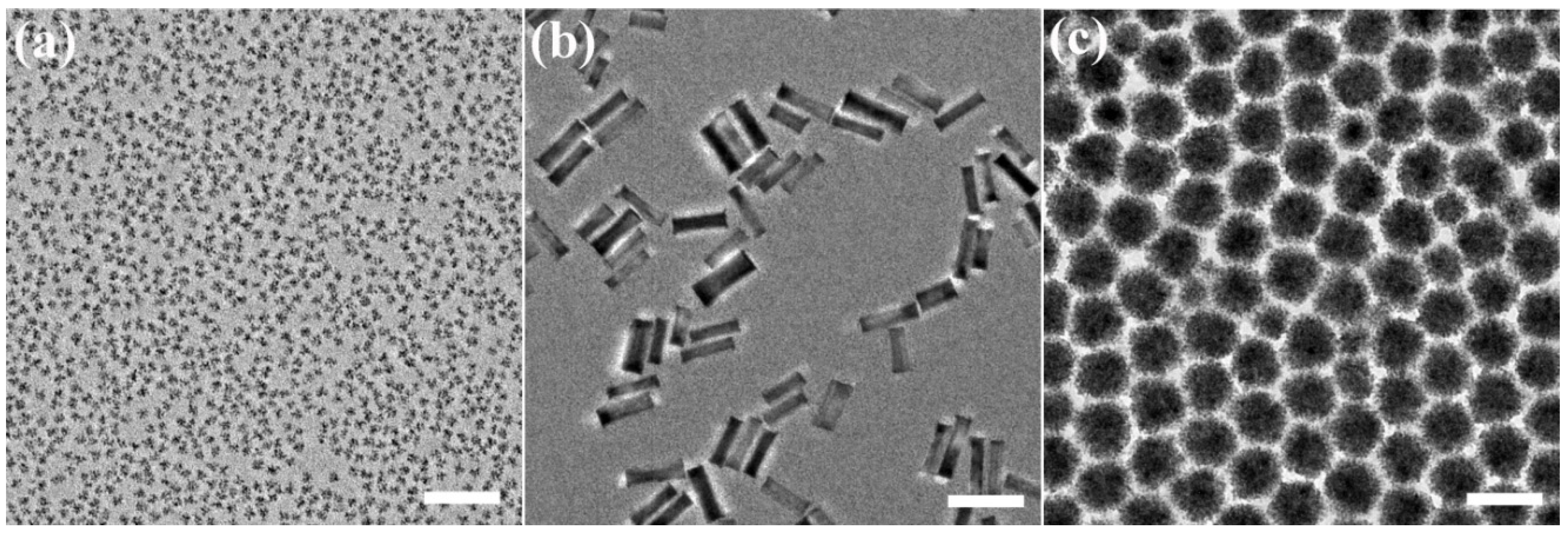 Shape-Controlled Synthesis of Copper Indium Sulfide Nanostructures ...