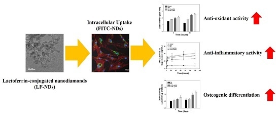 Nanomaterials | Special Issue : New Avenues of Research for ...