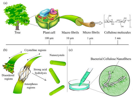 A Review of Applications Using Mixed Materials of Cellulose ...