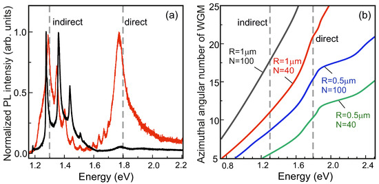 Towards Exciton-Polaritons in an Individual MoS2 Nanotube