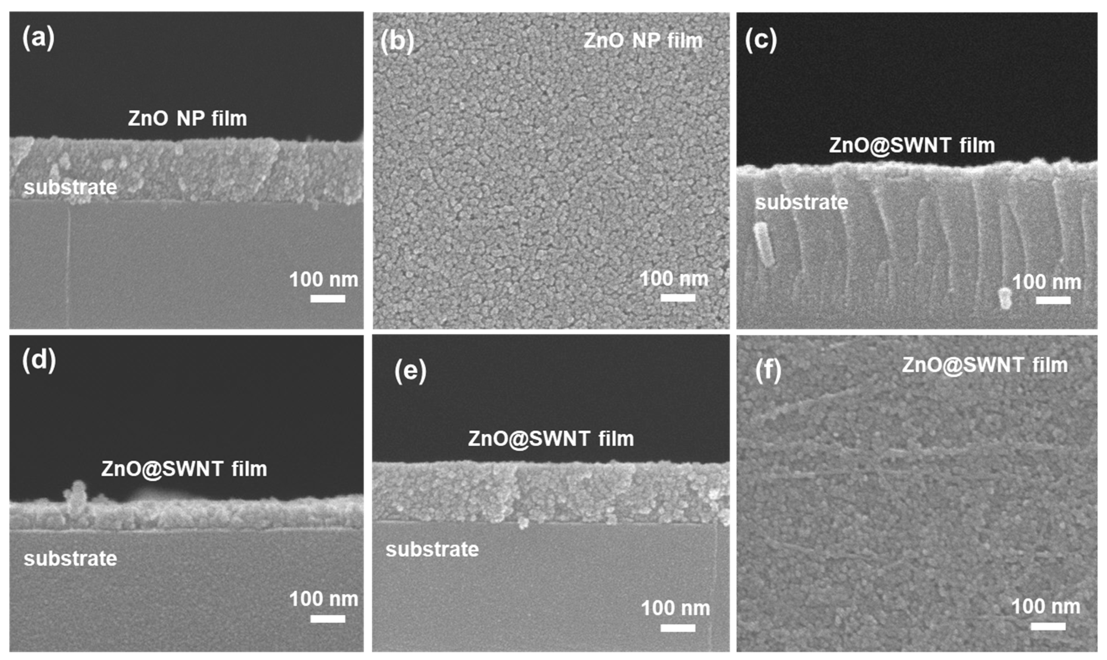 High-Performance Ultraviolet Photodetector Based on a Zinc Oxide Nanoparticle@Single-Walled ...