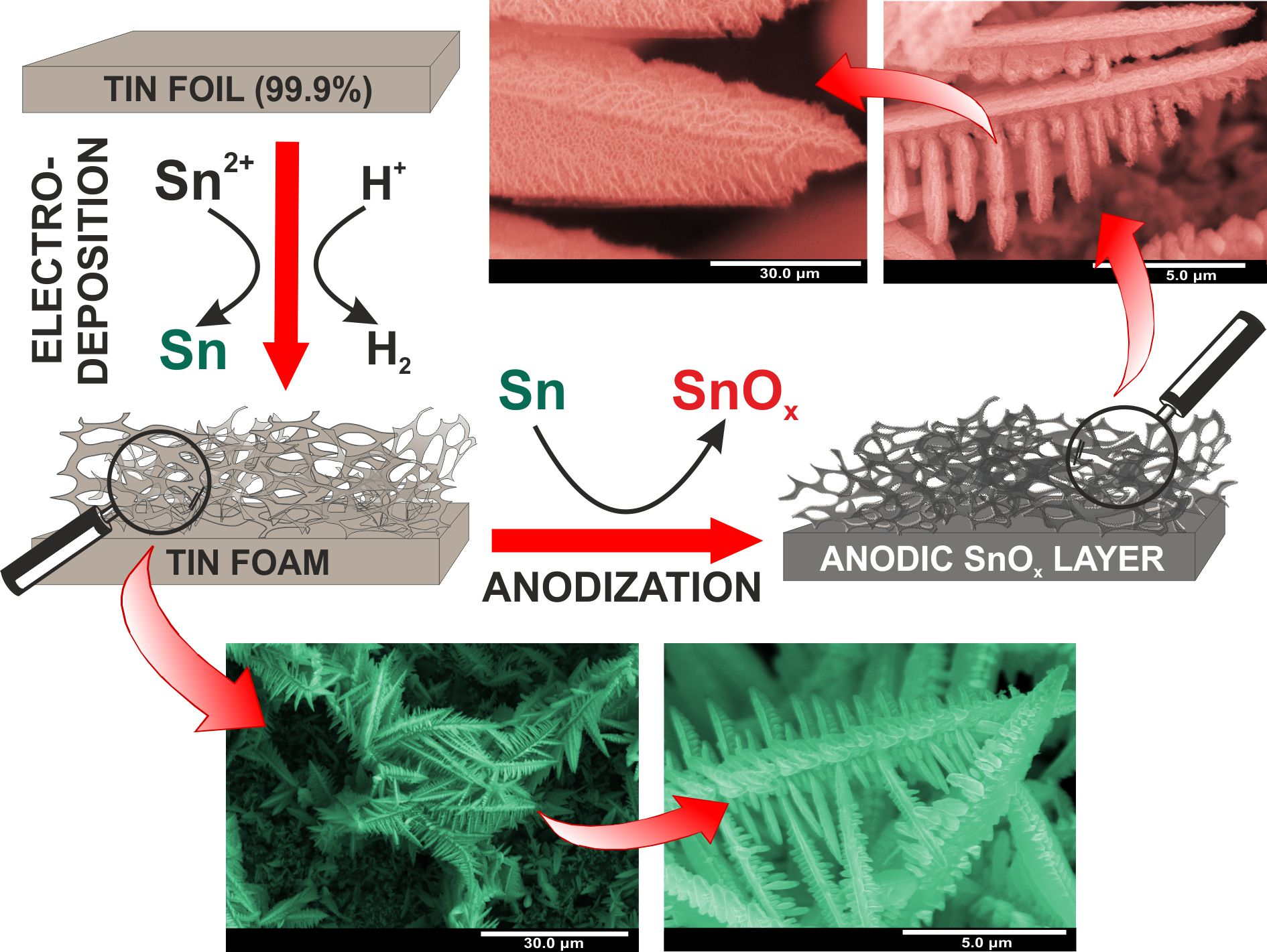 Nanomaterials | Free Full-Text | Hierarchical Nanoporous Sn/SnOx ...