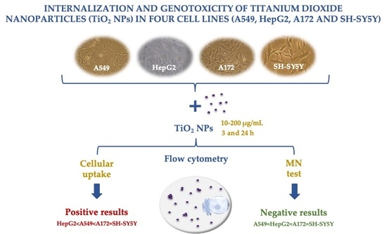 Nanomaterials | Free Full-Text | Genotoxicity of TiO2 Nanoparticles in ...
