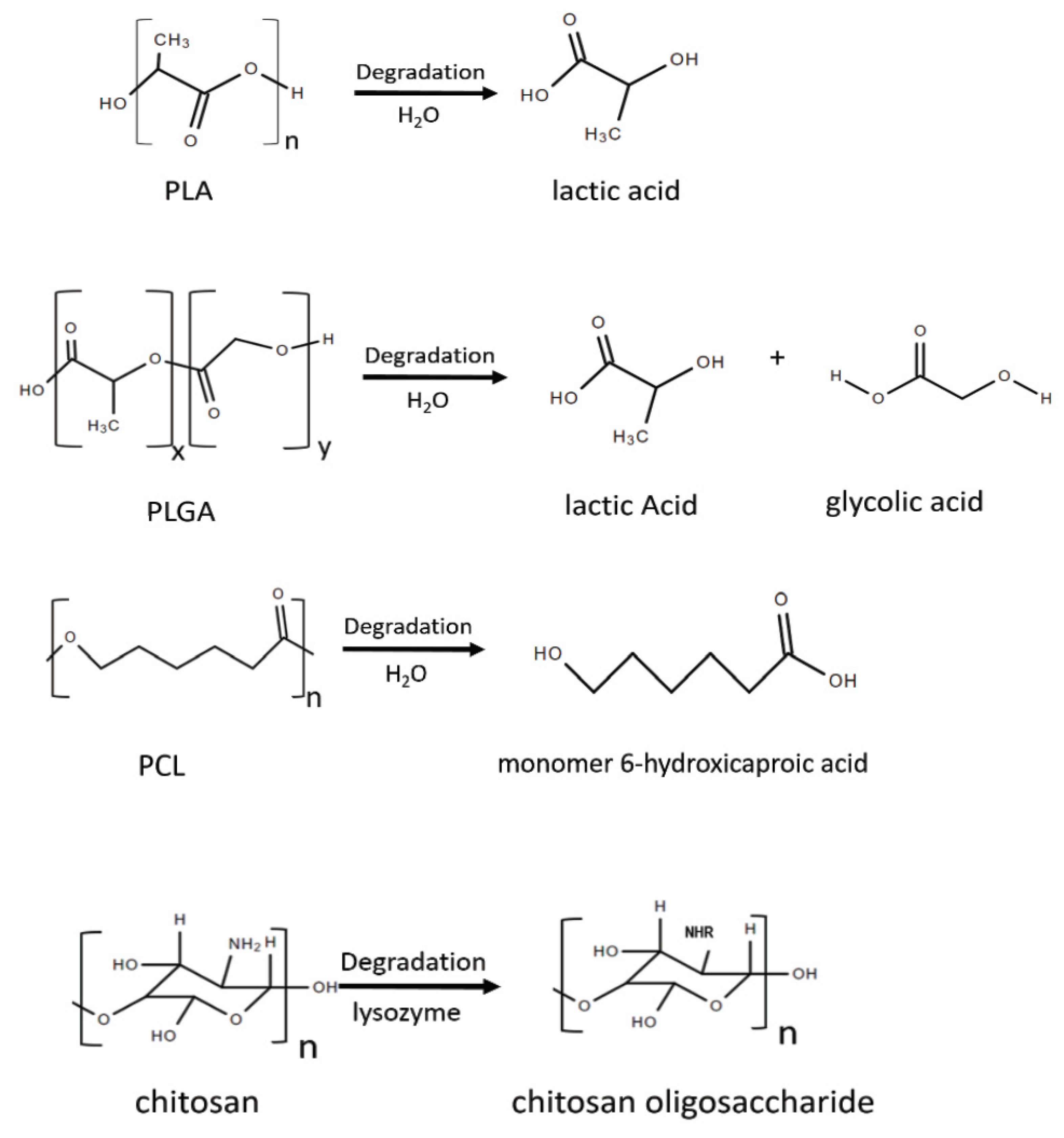 Systemic Review of Biodegradable Nanomaterials in Nanomedicine