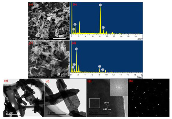Thermal Decomposition Behavior and Thermal Safety of Nitrocellulose ...