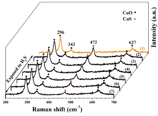 Studies on Sensing Properties and Mechanism of CuO Nanoparticles to H2S Gas