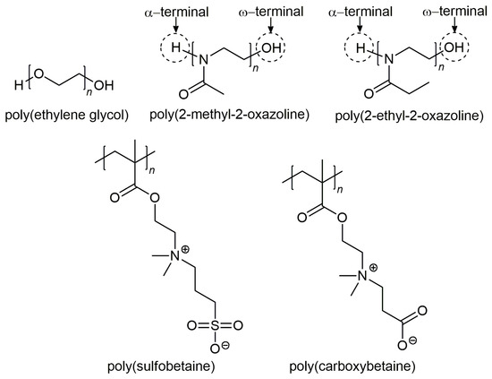 Stealth Coating of Nanoparticles in Drug-Delivery Systems
