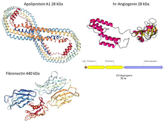 Nanomaterials | Free Full-Text | XPS Modeling of Immobilized ...
