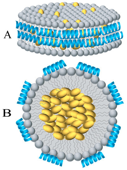 Nanomaterials | Special Issue : Protein Nanostructures for Biomedical ...