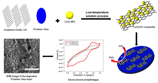Nanomaterials | Free Full-Text | Detection of Hydroxyl Radicals Using ...