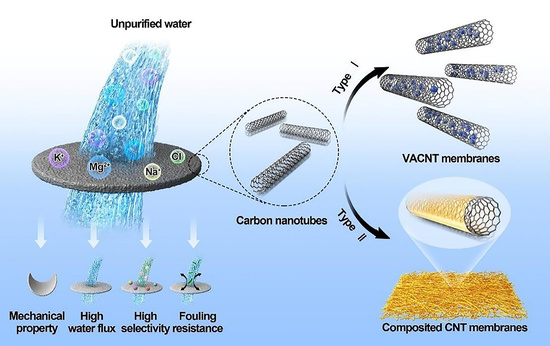 Nanomaterials Free Full Text Recent Advances In Applications Of