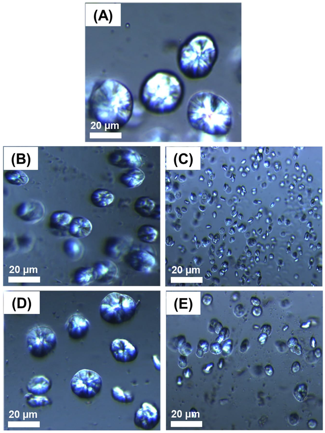 Non-Isothermal Crystallization Behavior and Thermal Properties of ...