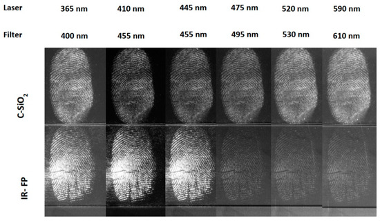 Carbon Dots for Forensic Applications: A Critical Review