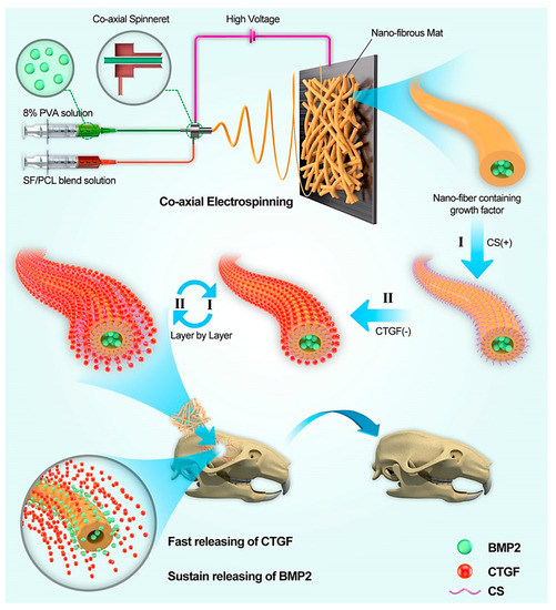 Electrospun Nanofibers for Improved Angiogenesis: Promises for Tissue ...