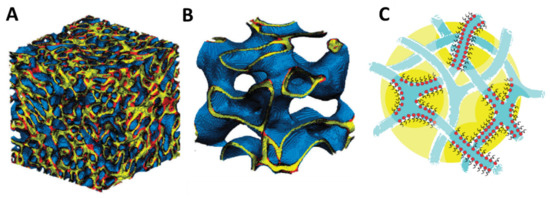 Microemulsion Microstructure(s): A Tutorial Review
