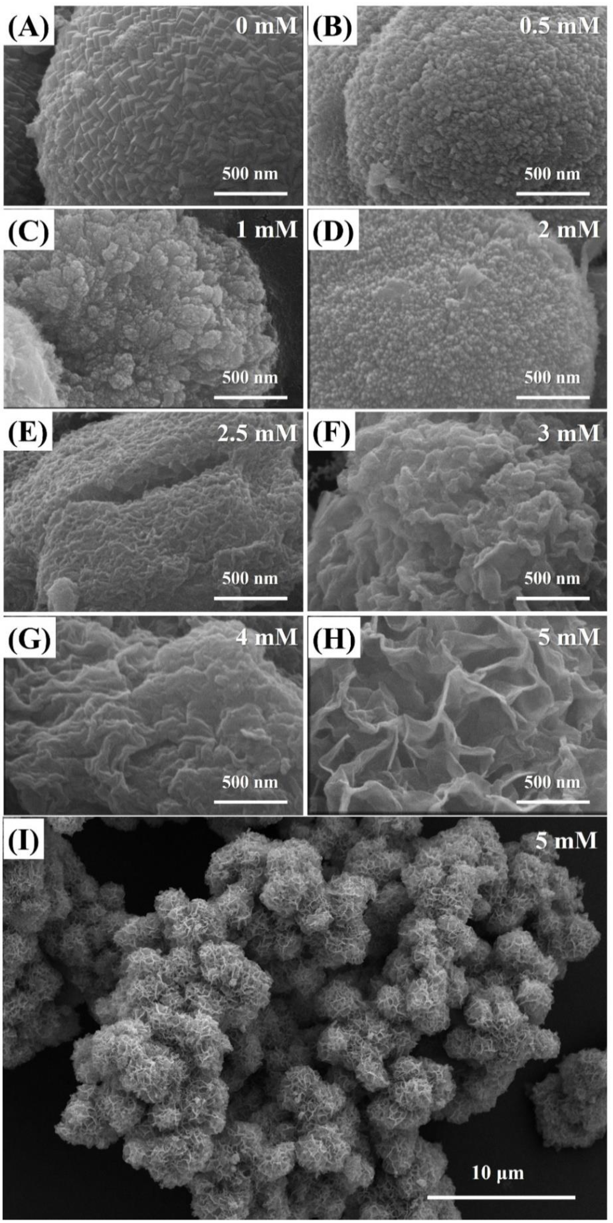 Enhanced Arsenic (III and V) Removal in Anoxic Environments by ...