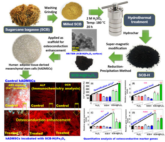 Nanomaterials | Free Full-Text | Supermagnetic Sugarcane Bagasse Hydrochar for Enhanced ...