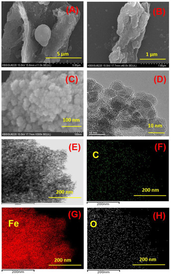 Supermagnetic Sugarcane Bagasse Hydrochar for Enhanced Osteoconduction in Human Adipose Tissue ...