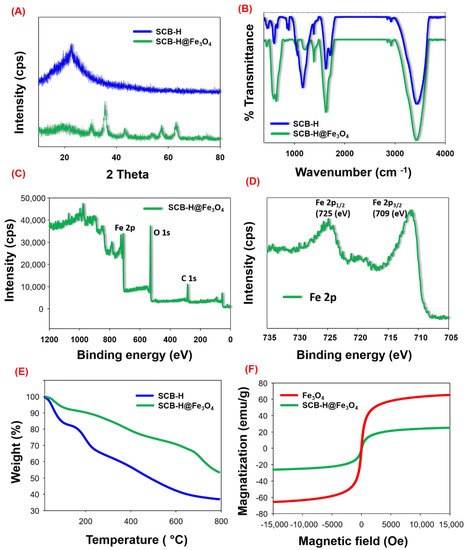 Supermagnetic Sugarcane Bagasse Hydrochar for Enhanced Osteoconduction in Human Adipose Tissue ...