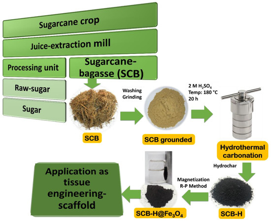 Supermagnetic Sugarcane Bagasse Hydrochar for Enhanced Osteoconduction in Human Adipose Tissue ...
