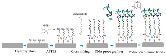 Nanomaterials | Free Full-Text | Optimization of GOPS-Based ...