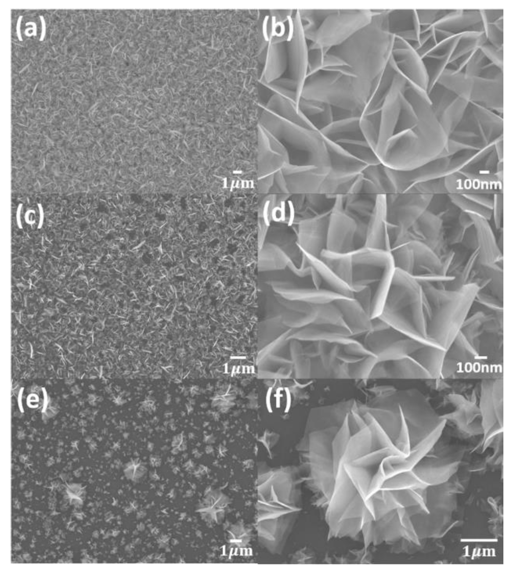 Vertically-Oriented WS2 Nanosheets with a Few Layers and Its Raman Enhancements