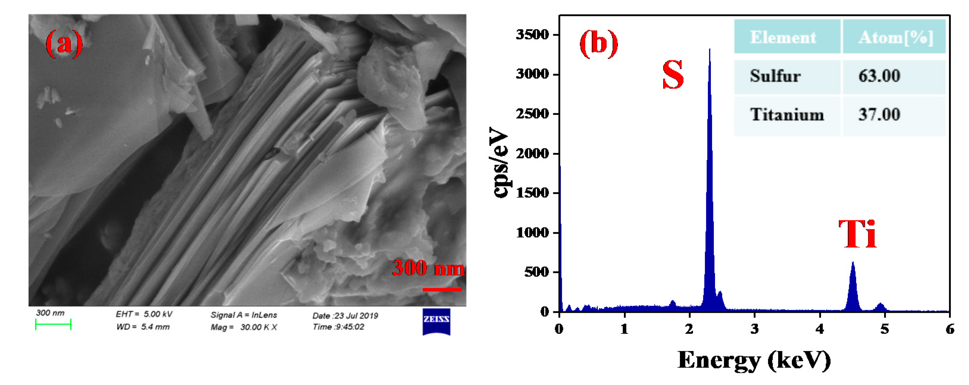 Titanium Disulfide Based Saturable Absorber for Generating Passively ...