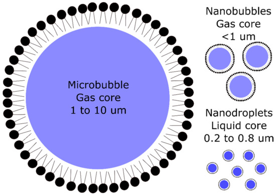 Molecular Ultrasound Imaging