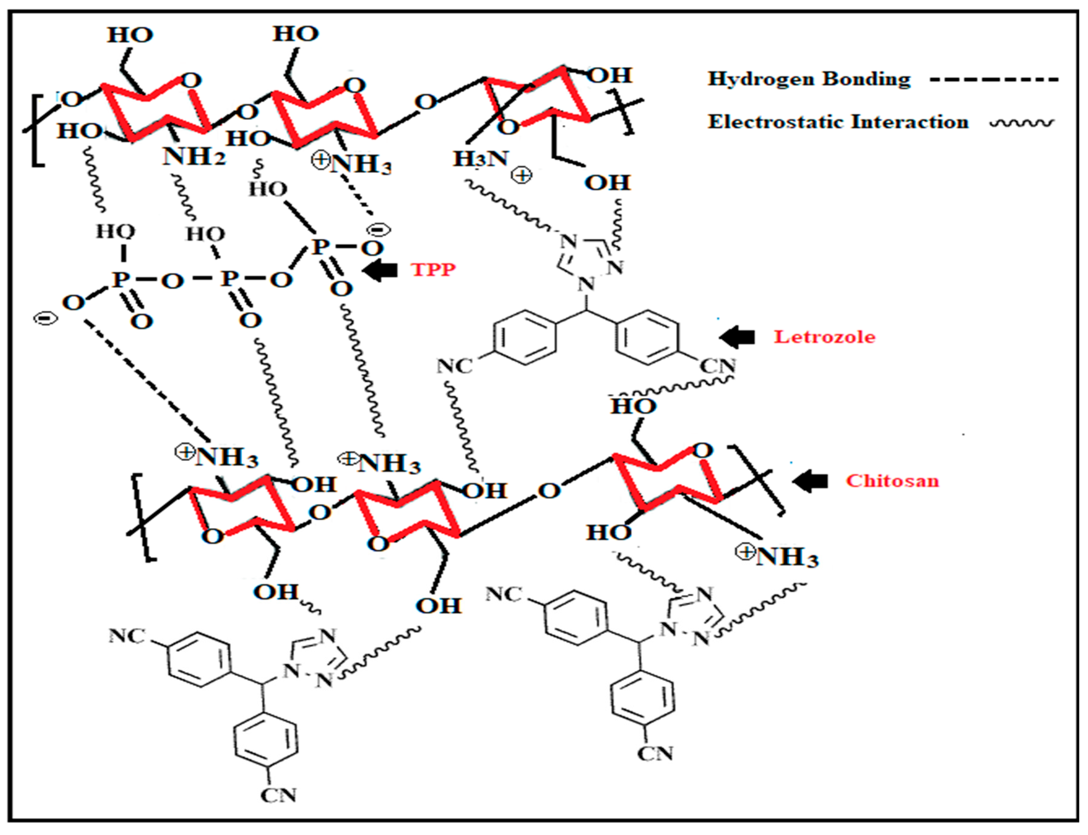 A Review of Biodegradable Natural Polymer-Based Nanoparticles for Drug ...