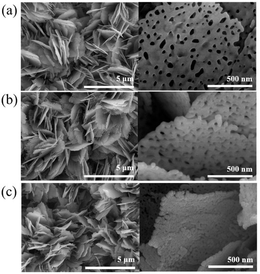 Design and Synthesis of Novel 2D Porous Zinc Oxide-Nickel Oxide ...