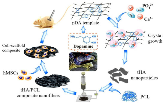 Comprehensive Survey on Nanobiomaterials for Bone Tissue Engineering ...