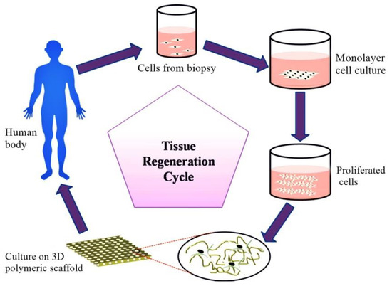 Comprehensive Survey on Nanobiomaterials for Bone Tissue Engineering ...