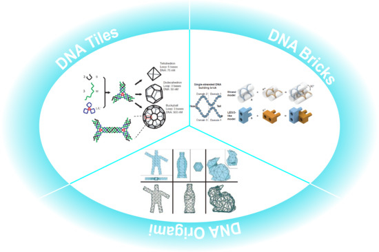 Nanomaterials | Special Issue : The Application of DNA Nanotechnology